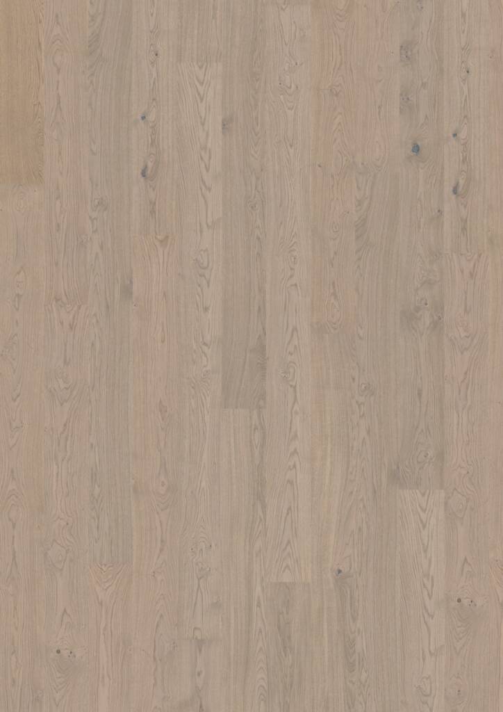 OAK CORNWALL Auckland NZ | The Wooden Floor Company